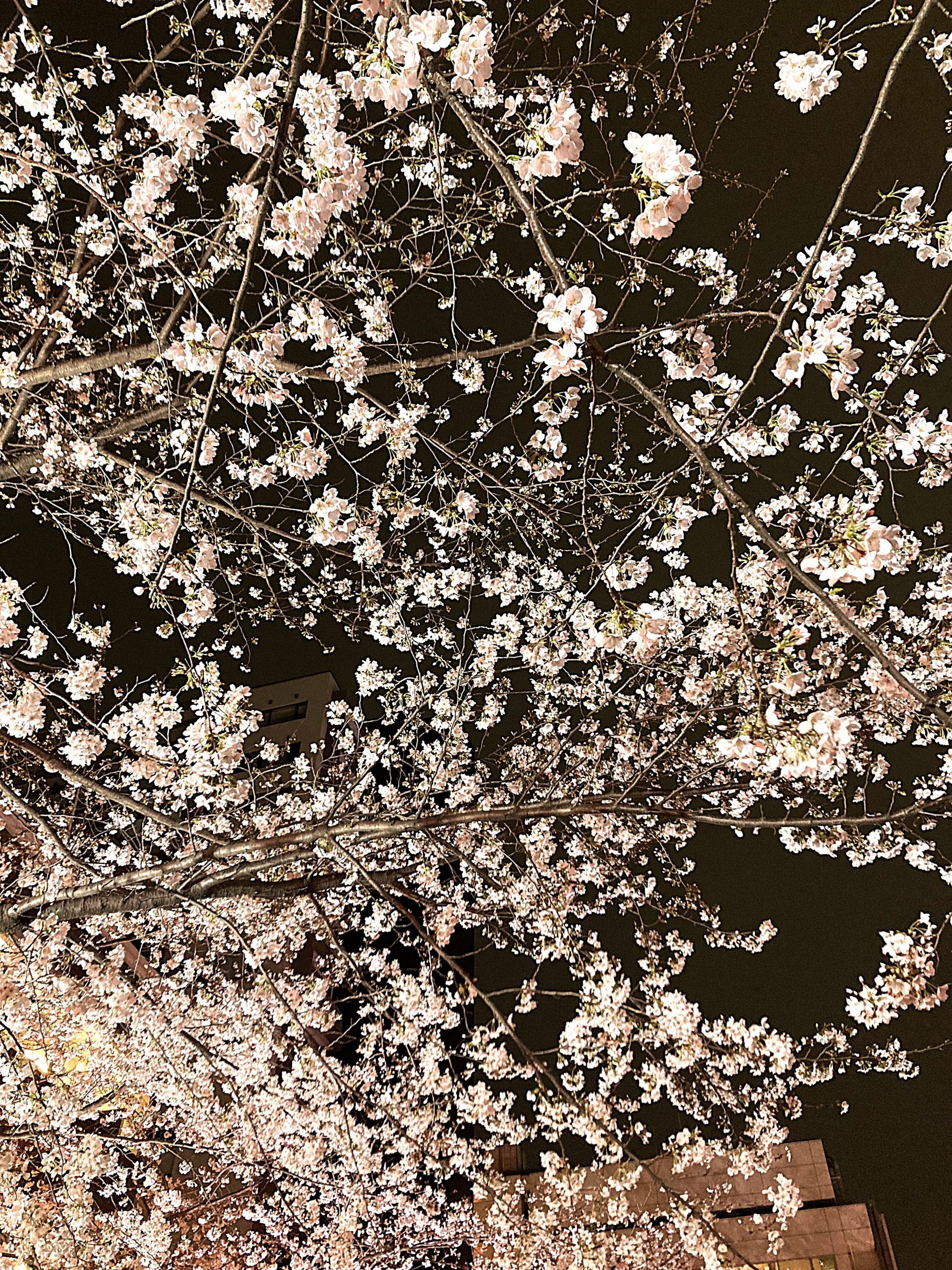 Untitled | Say Be Do